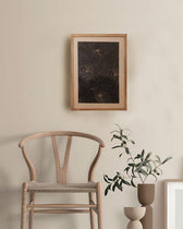 Circus Fish - Wall Art